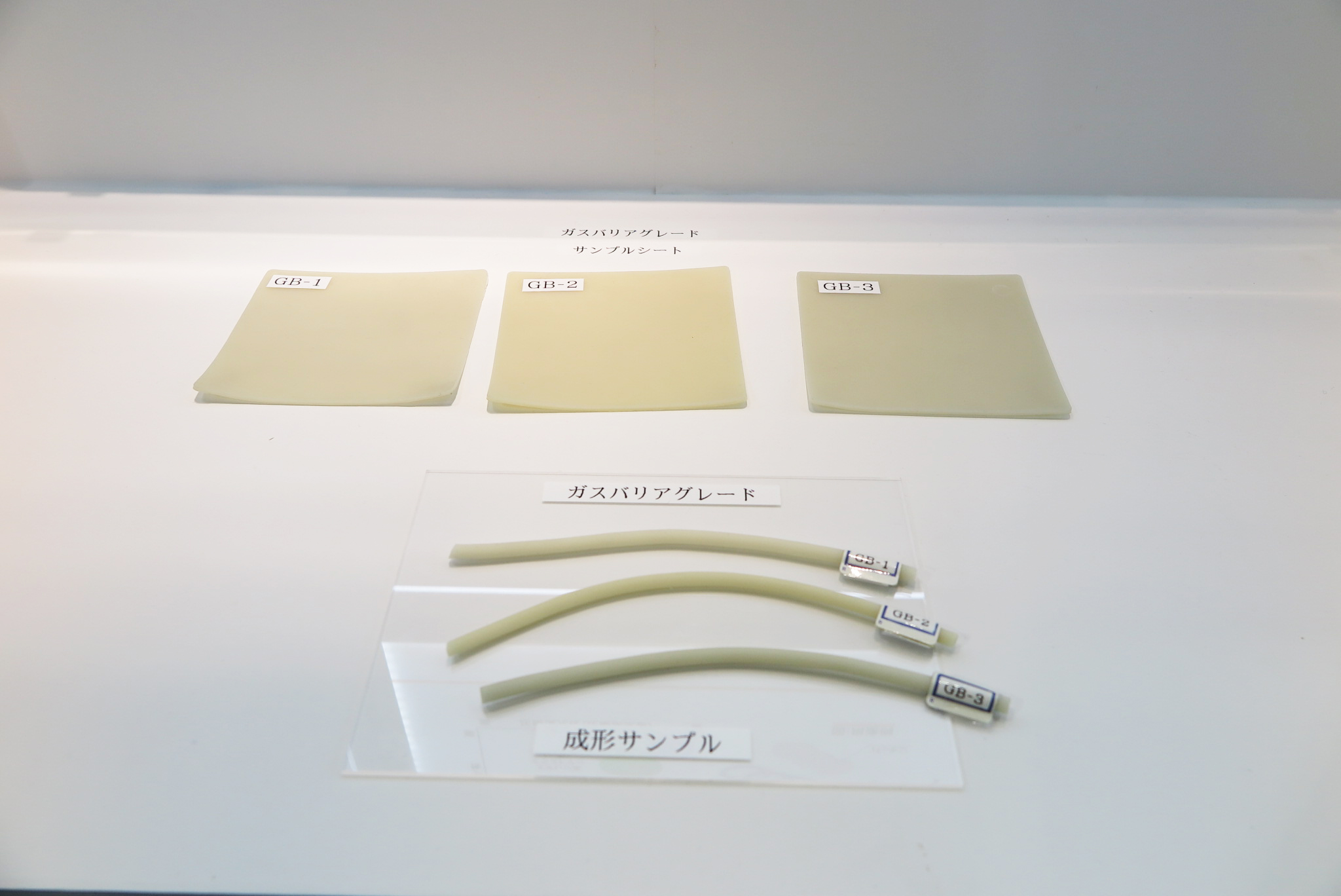 IMG_1346 | 展示会Biz